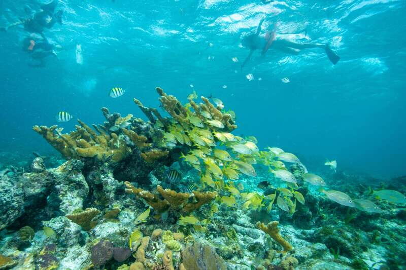 Cancún: Isla Mujeres All-Inclusive Private Catamaran Tour - The Sum Up