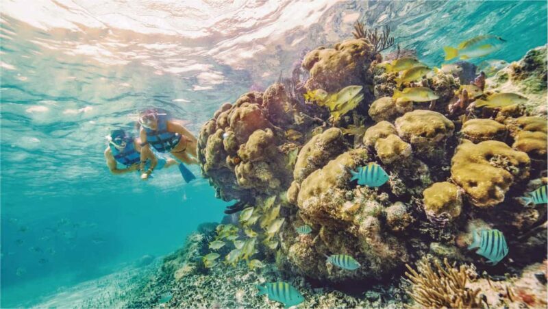 Cancun: Isla Mujeres Royal Garrafon with Transport & Lunch - FAQ