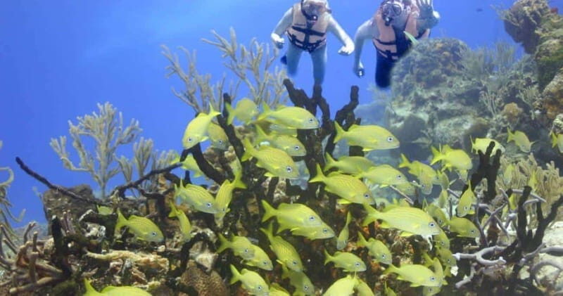 Cancun: Isla Mujeres Yacht Tour - FAQ