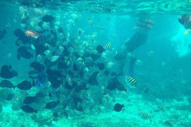 Cancun Jetski and Snorkel Adventure - Introduction: Get Ready for a Splash of Action in Cancun