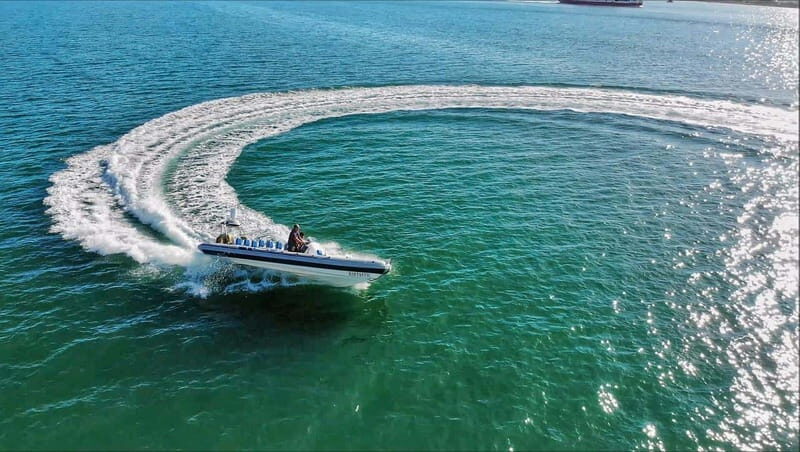 Cancun: Jungle expedition with speedboat ride and Snorkel - A Close Look at the Cancun Jungle Expedition