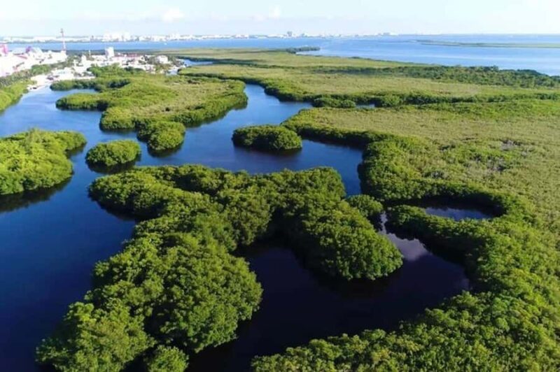 Cancun: Jungle Tour with Speedboat Ride and Snorkeling - An In-Depth Look at the Experience