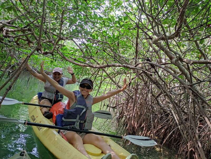 Cancun: Kayaking Tour in Nichupte Lagoon - The Itinerary: What to Expect When You Paddle