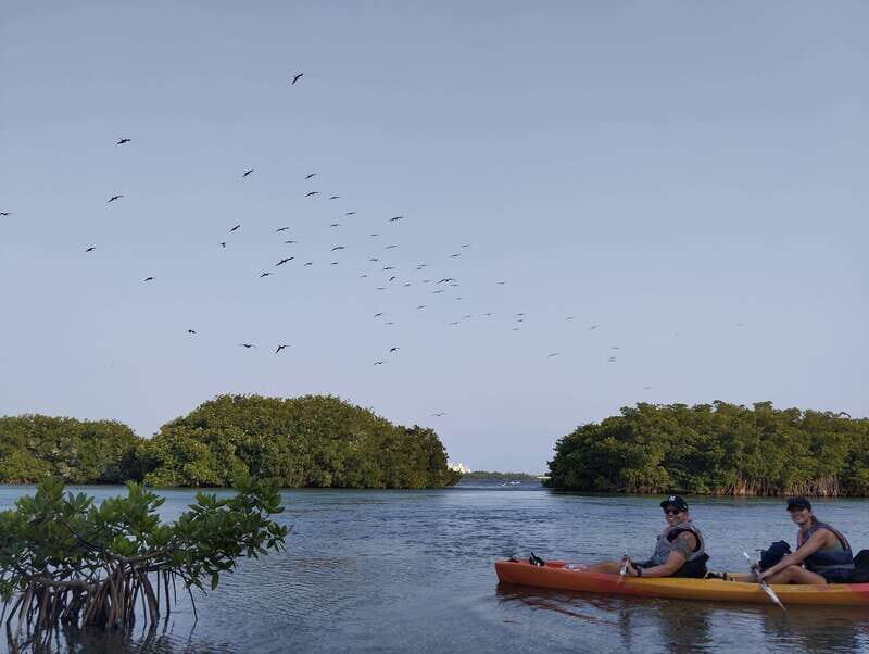 Cancun: Kayaking Tour in Nichupte Lagoon - Who Will Love This Tour?