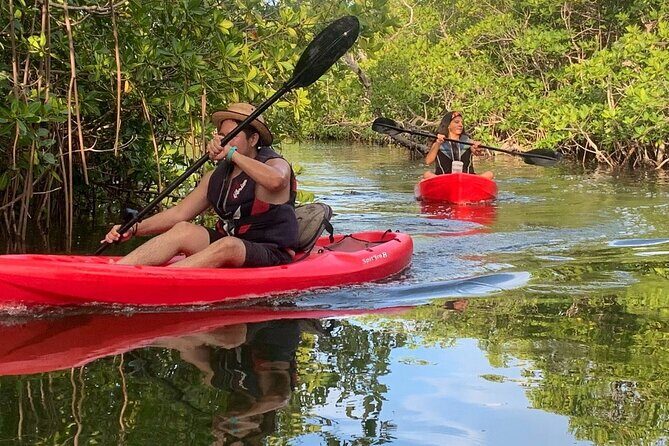 Cancun Lagoon Sunset Kayak Adventure - What Travelers Say