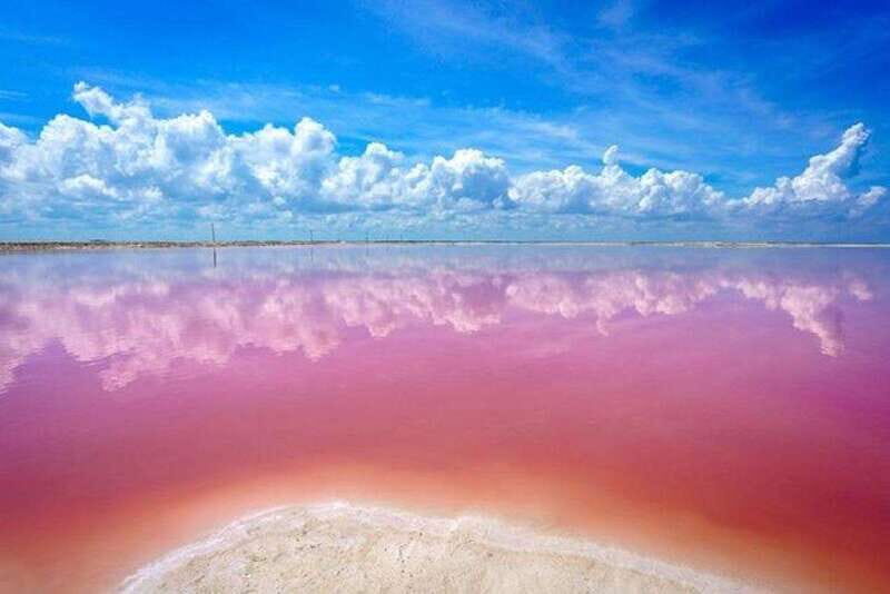 Cancun: Las Coloradas and Río Lagartos Private Tour - A Deep Dive into the Experience