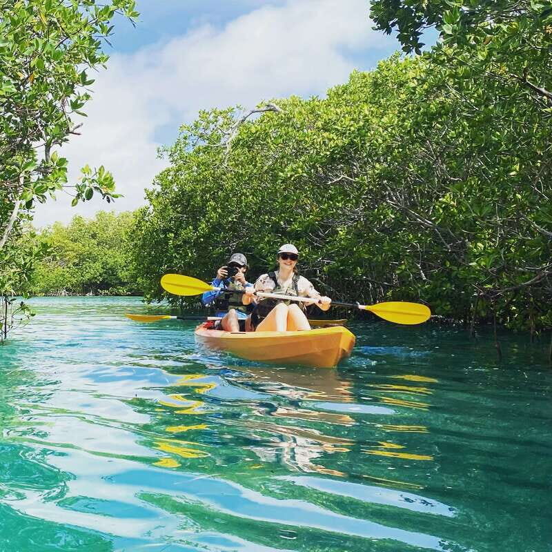 Cancún: Morning or Sunset Kayak Adventure in Nichupte Lagoon - The Sum Up
