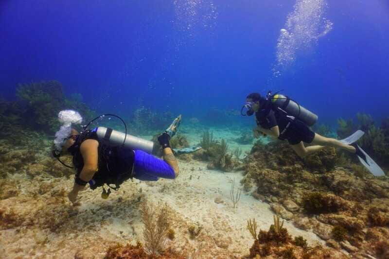 Cancun: MUSA Diving for certified divers morning dive trip - What Do You Experience Underwater?