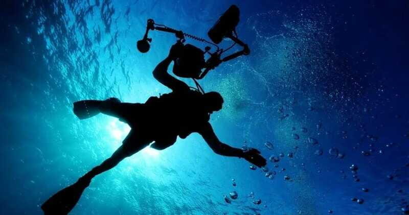 Cancun: MUSA Diving for certified divers morning dive trip - The Value and Cost Analysis