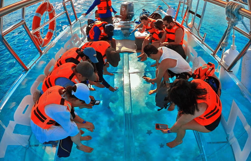 Cancún: Nichupté Lagoon Transparent Boat Tour with Drinks - FAQ