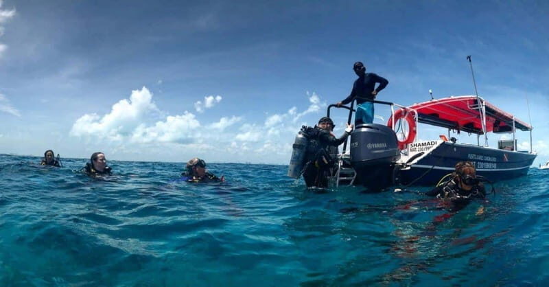 Cancun or Isla Mujeres Reef Diving for Beginners - What’s Included and Why It Matters