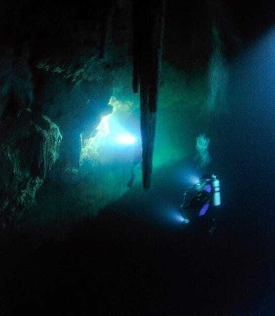 Cancun or Isla Mujeres Reef Diving for Beginners - Who Should Consider This Tour?