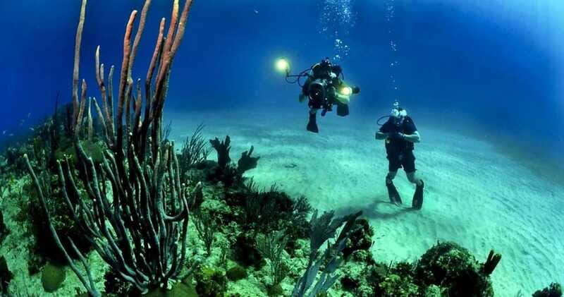 Cancun or Isla Mujeres Reef Diving for Beginners - FAQ
