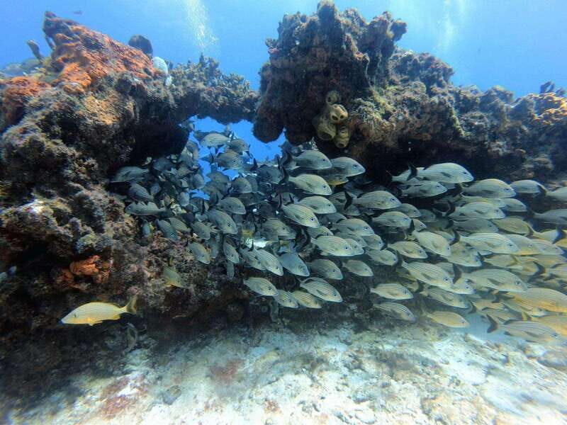 Cancun: PADI Enriched Air Nitrox Course - What makes this course valuable for divers