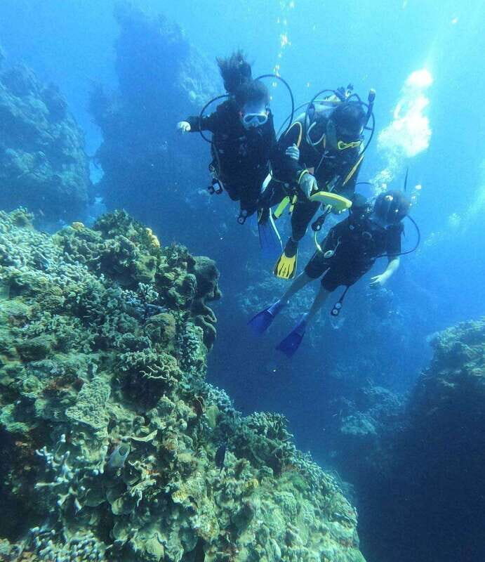 Cancun: Parrotfish Adventure Package - An Honest Look at the Cancun Parrotfish Adventure Package