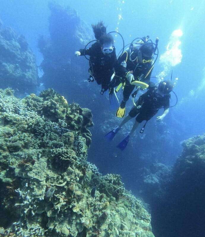 Cancun: Parrotfish Adventure Package - FAQ
