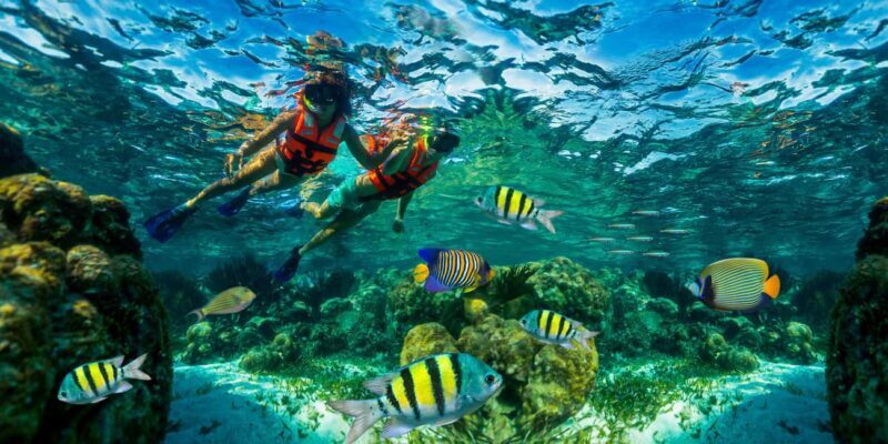 Cancún: Puerto Morelos Reef Snorkeling Tour & Seaside Lunch - Introduction