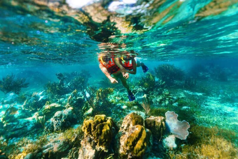 Cancún: Puerto Morelos Reef Snorkeling Tour & Seaside Lunch - Authenticity and Overall Value