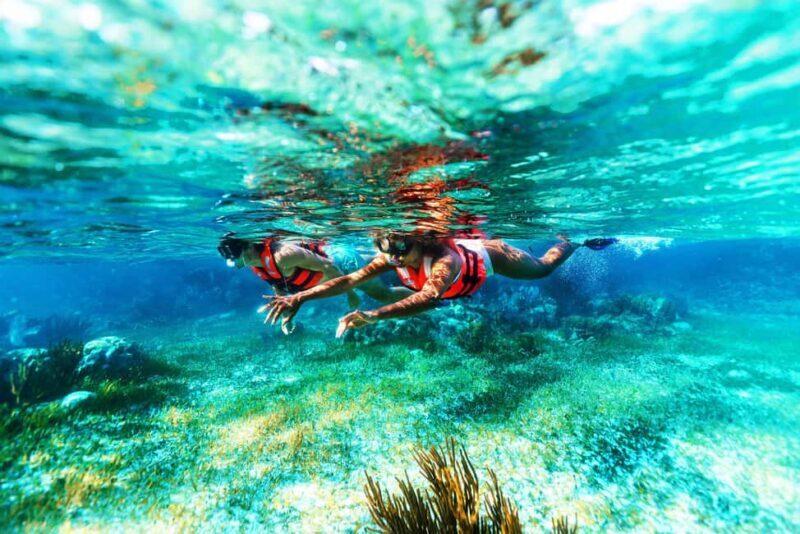 Cancún: Puerto Morelos Reef Snorkeling Tour & Seaside Lunch - Who Will Love This Tour