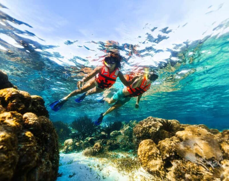 Cancún: Puerto Morelos Reef Snorkeling Tour & Seaside Lunch - Final Thoughts