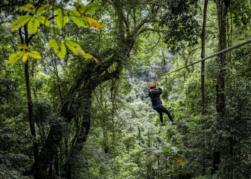 Cancun: Quad biking, zip lines, and swimming in a jungle cenote - Key Points