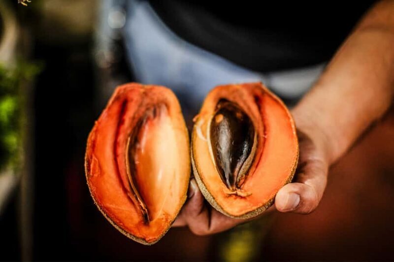 Cancún: Salsa Streets Food Tour with 15+ Tastings - Who Should Consider This Tour?