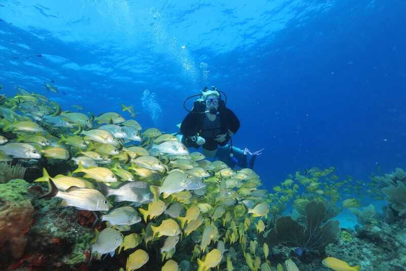 Cancun: Scuba Diving for Beginners, 2 Dives - Who Should Consider This Tour