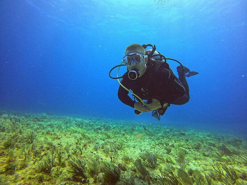 Cancun: Scuba Diving for Certified Divers, 3 options to dive - Authentic Reviews: What Others Say