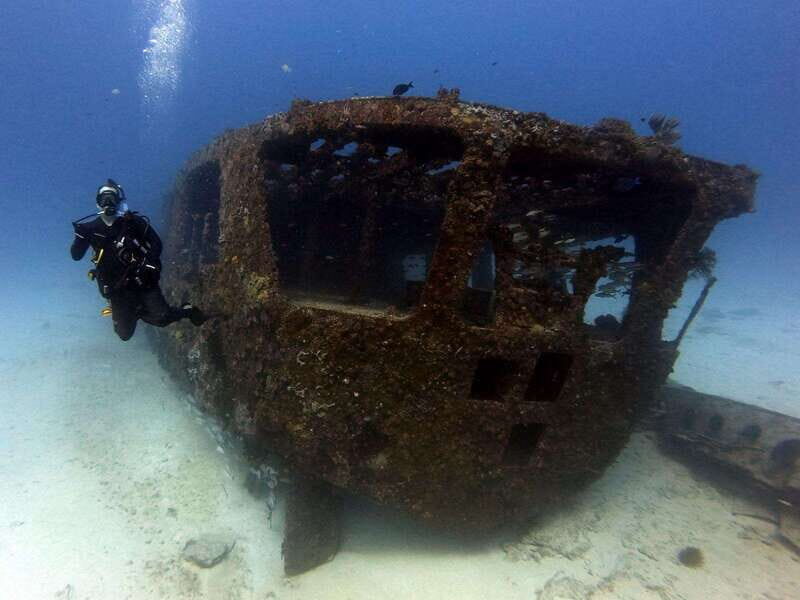 Cancun: Shipwreck & Reef for Certified Divers - Exploring Cancun’s Underwater World: An Authentic Dive Experience