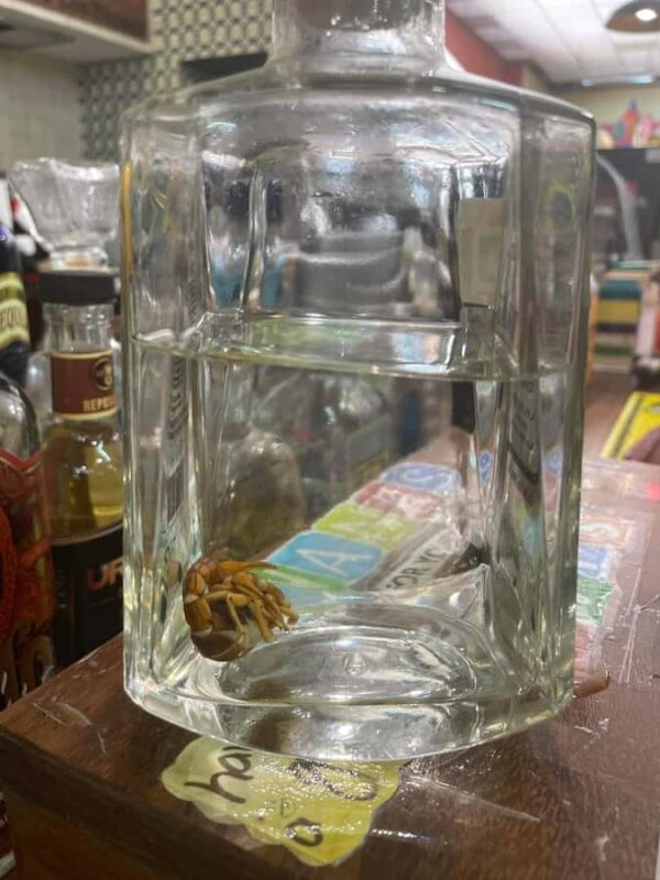 Cancun: Shopping Tour & Market 28 - The Value of This Tour