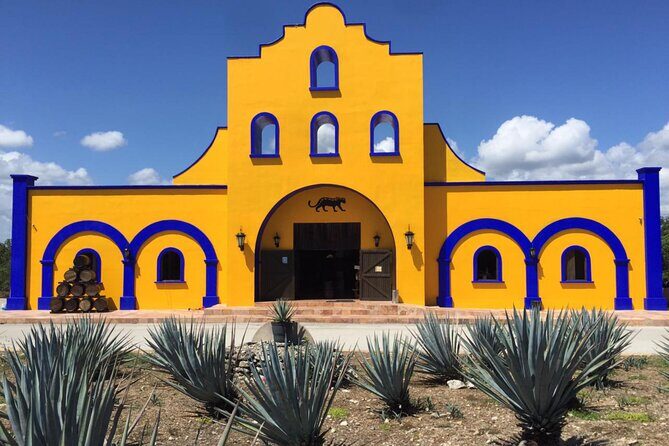 Cancun Shopping Tour with Cancun Viewpoint and Puerto Cancun Mall - The Sum Up