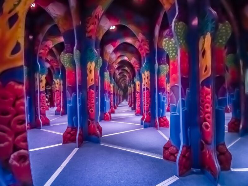Cancún: Sky Wheel Pass GO - Final Thoughts