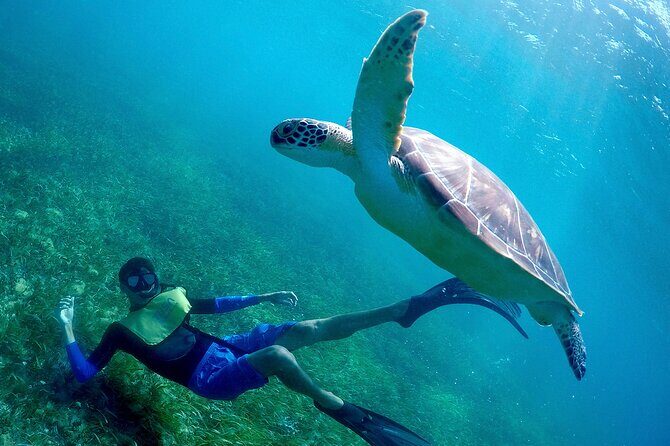 Cancun Snorkeling Adventure: Underwater Museum, Reef & Shipwreck - What to Expect During the Snorkeling Experience