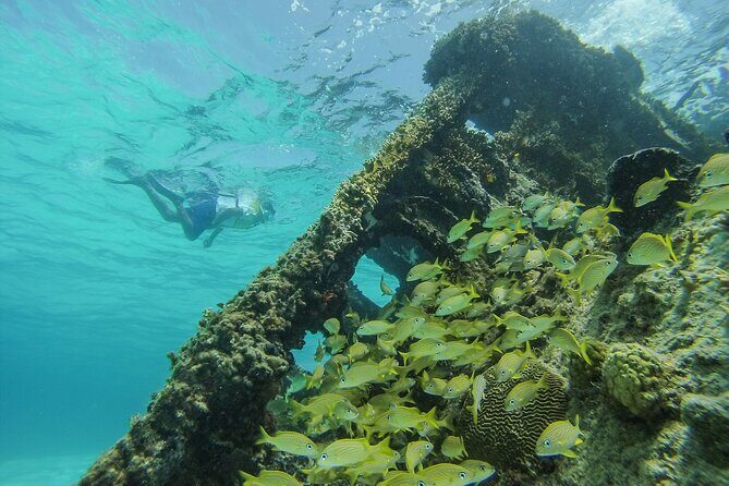 Cancun Snorkeling Adventure: Underwater Museum, Reef & Shipwreck - Transportation and Logistics