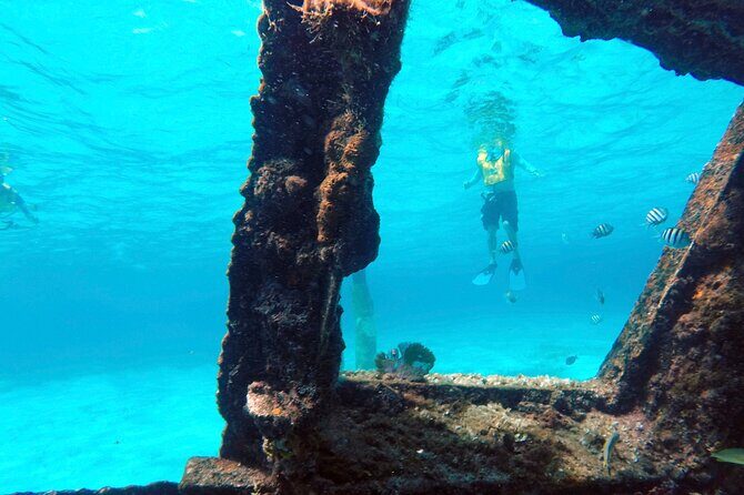 Cancun Snorkeling Adventure: Underwater Museum, Reef & Shipwreck - Final Thoughts: Is This Tour Right for You?