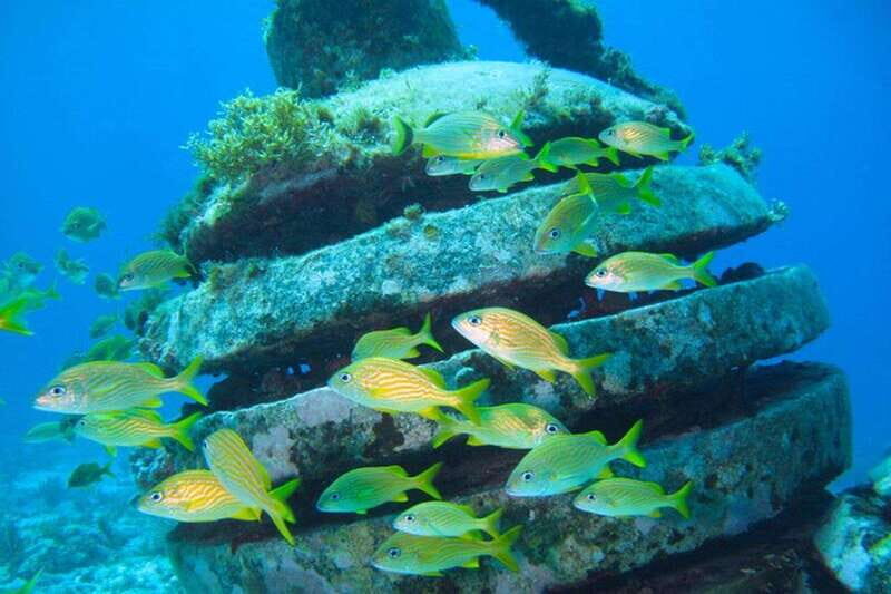 Cancun: Snorkeling at Underwater Museum & Manchones Reef - Key Points