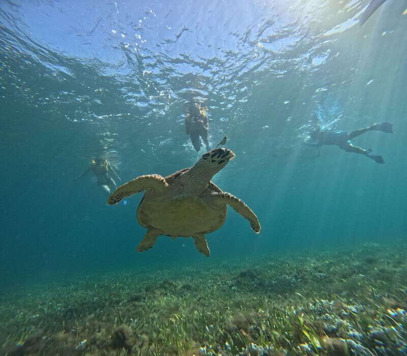 Cancun: Snorkeling Boat Tour with Gear - Key Points