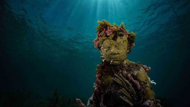 Cancun: Snorkeling Tour at MUSA The Underwater Museum - Key Points
