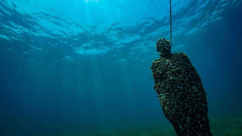 Cancun: Snorkeling Tour at MUSA The Underwater Museum - FAQ