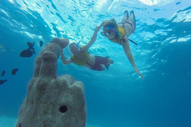 Cancun Snorkeling Tour: Swim with Turtles, Reef, Underwater Museum and Shipwreck - What to Expect From the Tour Experience