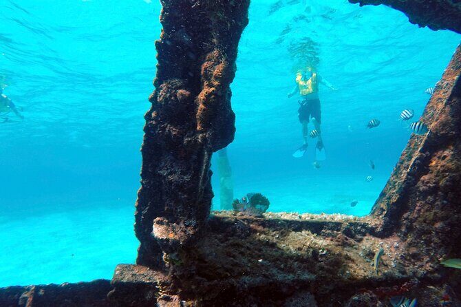 Cancun Snorkeling Tour: Swim with Turtles, Reef, Underwater Museum and Shipwreck - Real Traveler Feedback: What People Love (and What They Sometimes Wish Was Different)
