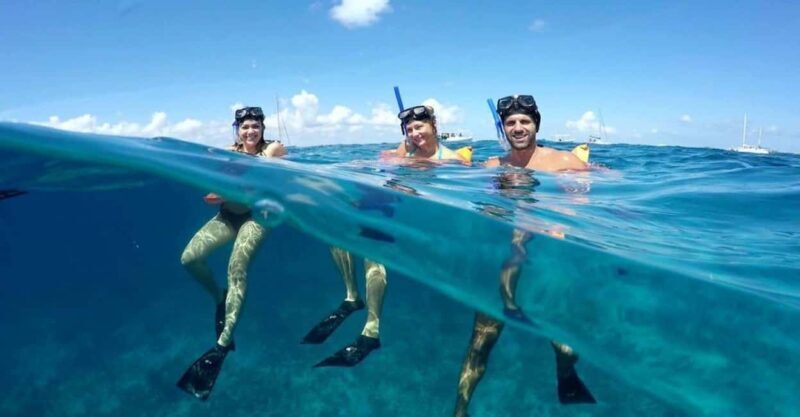 Cancun: Snorkeling Tour with Hotel Pickup - Introduction: What’s on Offer?