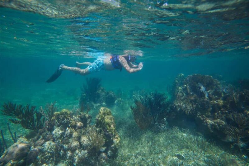 Cancun: Snorkeling Tour with Hotel Pickup - The Practical Aspects and Value