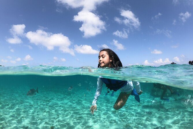 Cancun Speed Boat, Parasailing and Dolphin Beach with Transport - Key Points