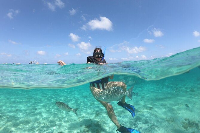 Cancun Speed Boat, Parasailing and Dolphin Beach with Transport - Whats the Value for the Price?