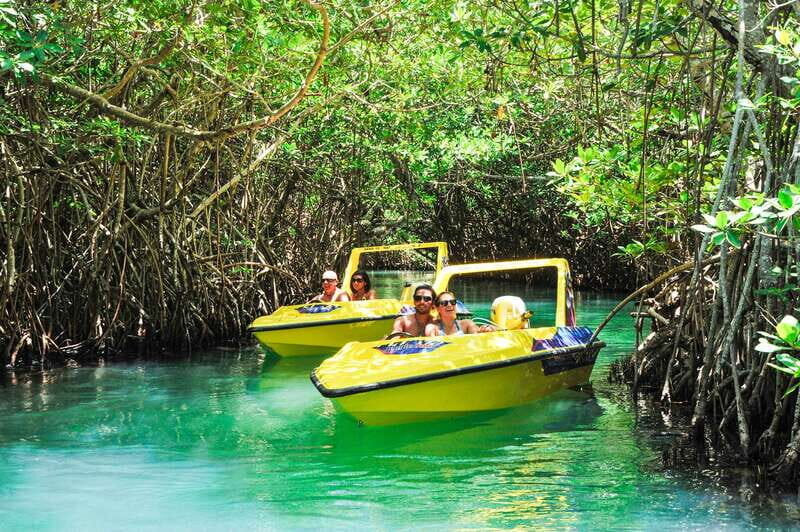 Cancun: Speedboat Mangrove Jungle & Snorkel Tour - A Closer Look at the Experience