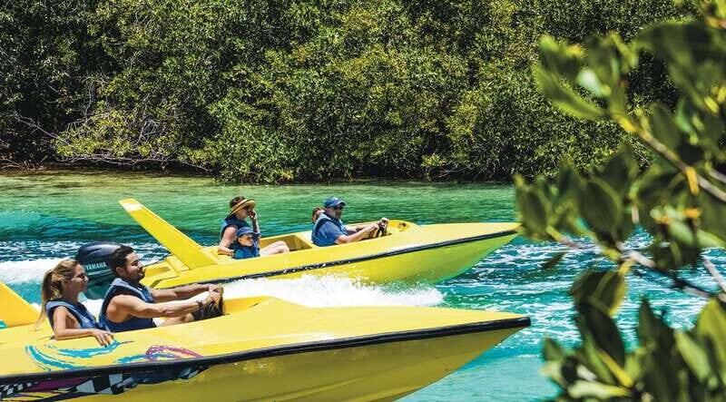 Cancun: Speedboat Mangrove Jungle & Snorkel Tour - Who Will Enjoy This Tour?
