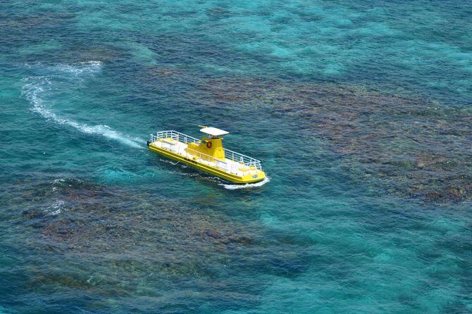 Cancun Submarine and Optional Snorkeling Tour - Who Should Consider This Tour?