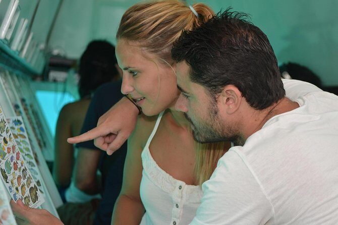 Cancun Submarine and Optional Snorkeling Tour - Final Word