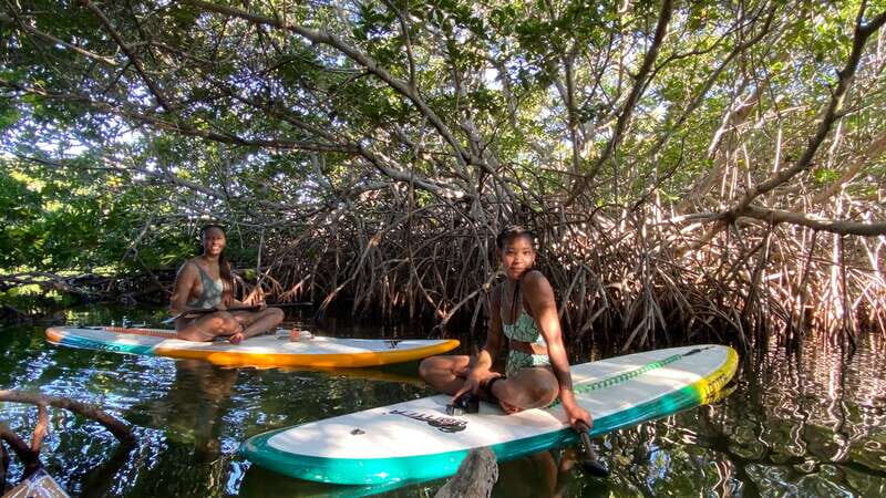 Cancun: Sunrise/Sunset Stand-Up Paddleboarding Tour - What Makes This Tour Special